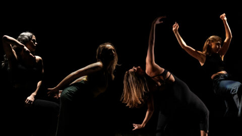 Staff & Board - Jacksonville Dance Theatre